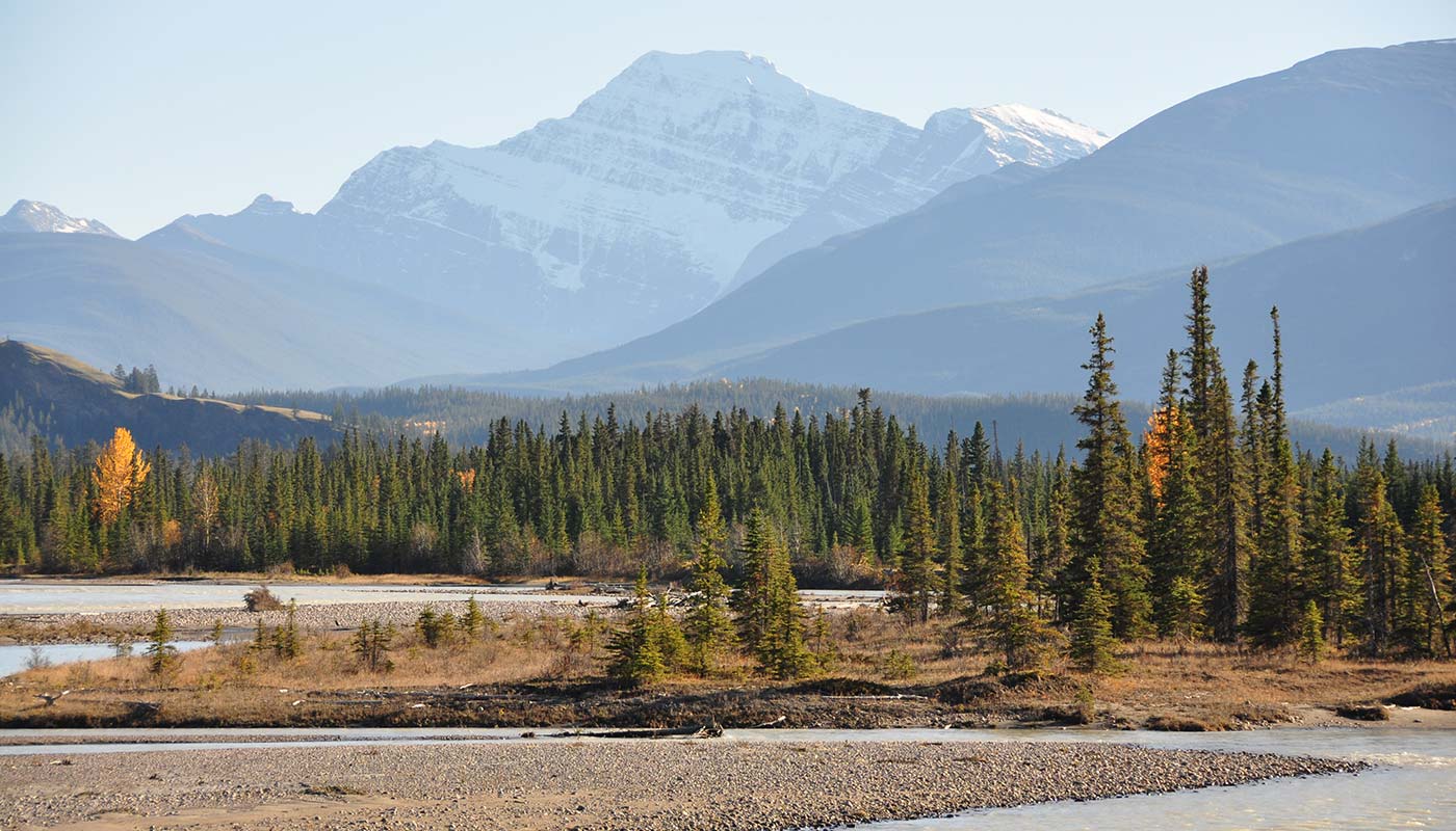 Jasper Tours, Activities & Attractions | Banff Jasper Collection