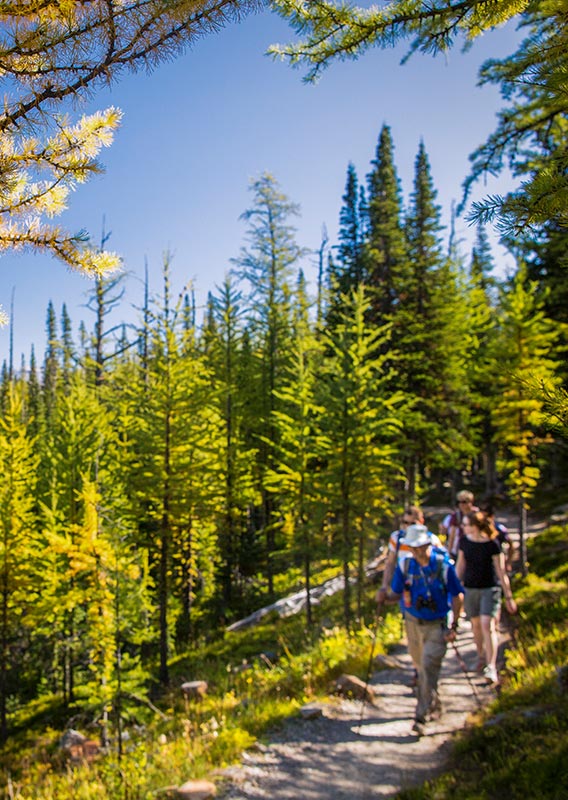 Plan Your Trip: We Are Local Activity Experts