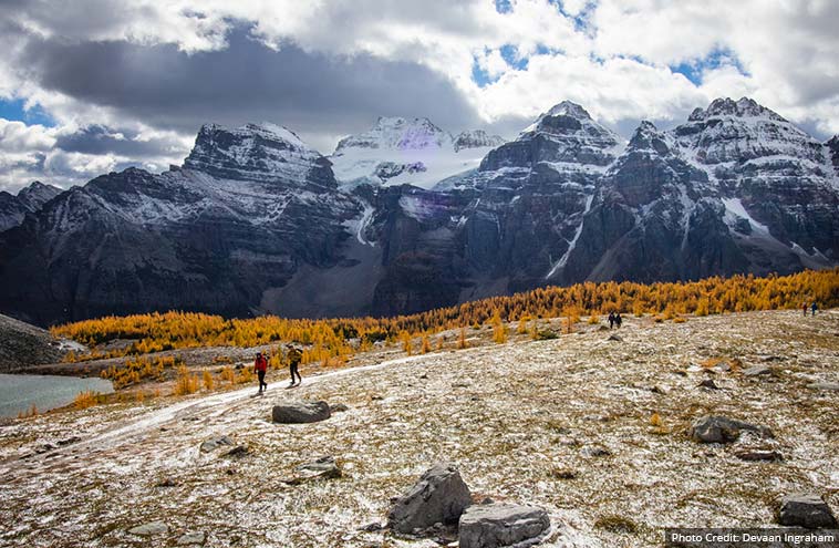 Larches in Banff: Where, When and How to See them this Fall