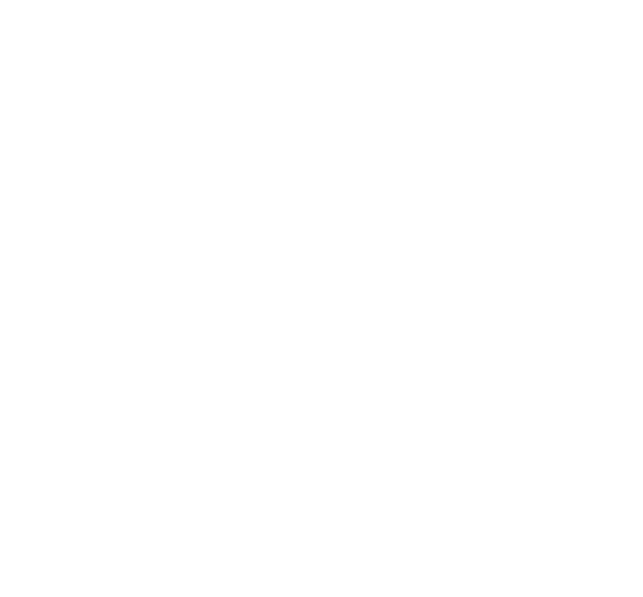 Golden Skybridge: Experience a Unique Thrill Alongside Epic Views